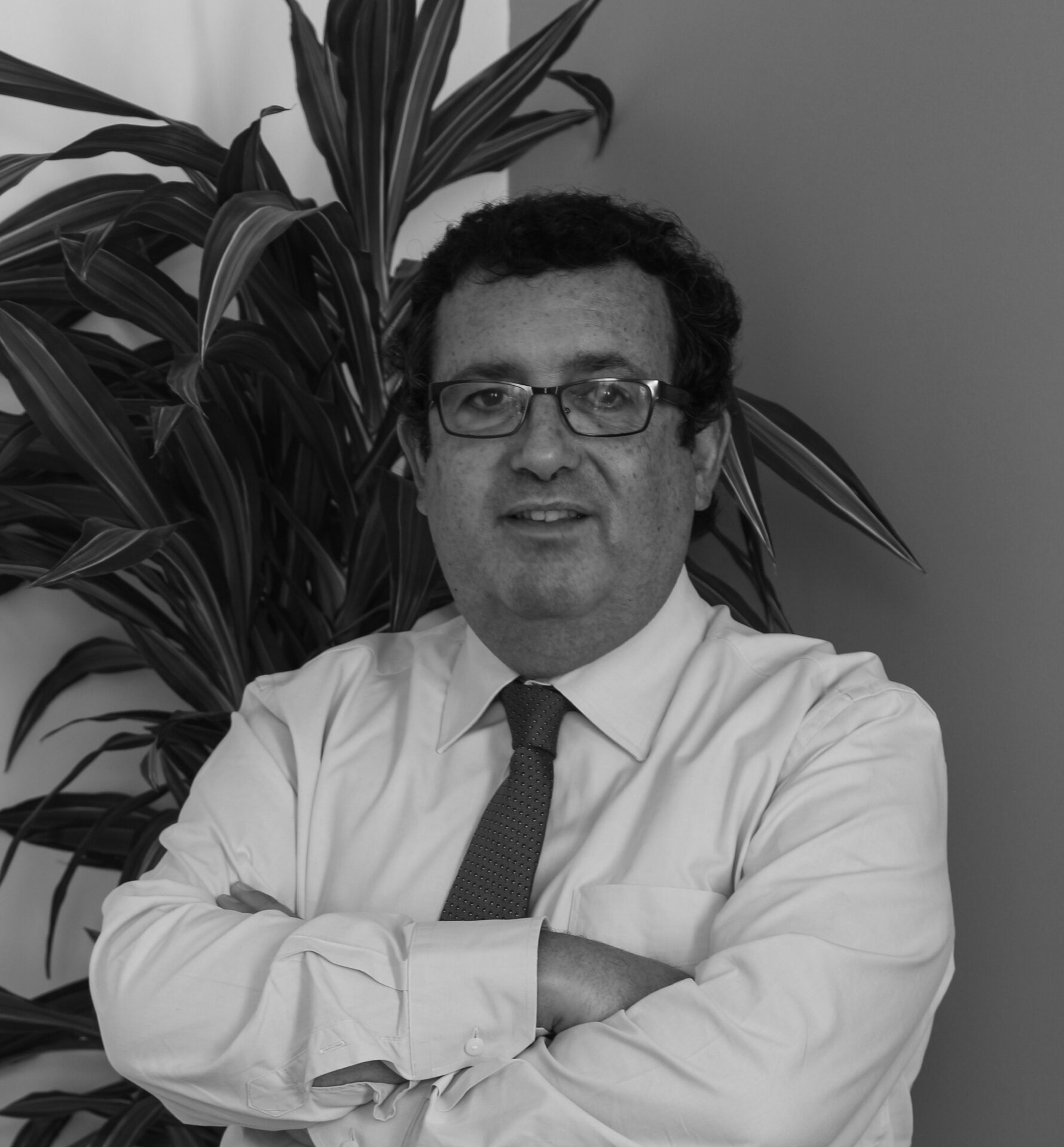 2023 em análise pela Neoturis - Costa Verde